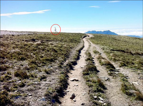 Un extraterestru fotografiat în Taiwan? - Vrăjitoare România